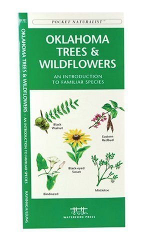 Oklahoma Trees and Wildflowers : An Introduction to Familiar Species ...
