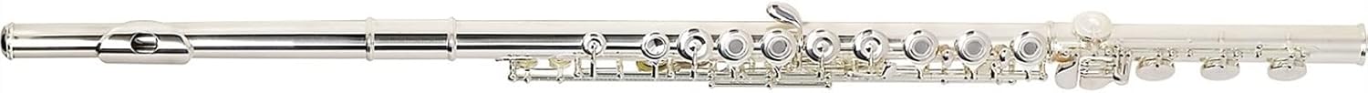Amazon.com - Professional Beginner Adult Flutes B Foot Offset G with ...