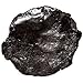 Amazon.com : Shu Di Huang Herb | Prepared Rehmannia Root Chinese Herb ...