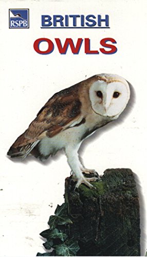 Amazon.com: British Owls [VHS] : Movies & TV