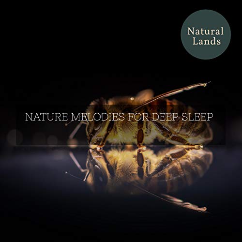 Nature Melodies for Deep Sleep de VARIOUS ARTISTS en Amazon Music Unlimited