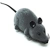 Amazon.com: WEFOO Electronic Remote Control Rat, Simulation Mouse Toy ...