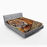 ・ブランド:Ambesonne・製造元:Ambesonne・モデル:bs_38689_king・製造元/メーカー部品番号:bs_38689_king・長さ80インチ x 幅78インチ - 起毛マイクロファイバー100%。 究極の快適さと柔ら...