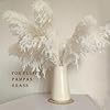 Amazon.com: Beige Vase - Beige Ceramic Vase, 6“ Neutral vase Home Decor ...