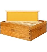 Amazon.com : POLLIBEE Bee Hive Box-8 Frame Deep Brood Bee Box Dipped in ...