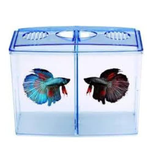 Amazon.in Bestsellers: The most popular items in In-Tank Isolation Boxes