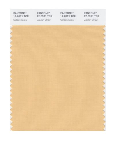 PANTONE Smart 12-0921X Color Swatch Card, Golden Straw : Amazon.in ...