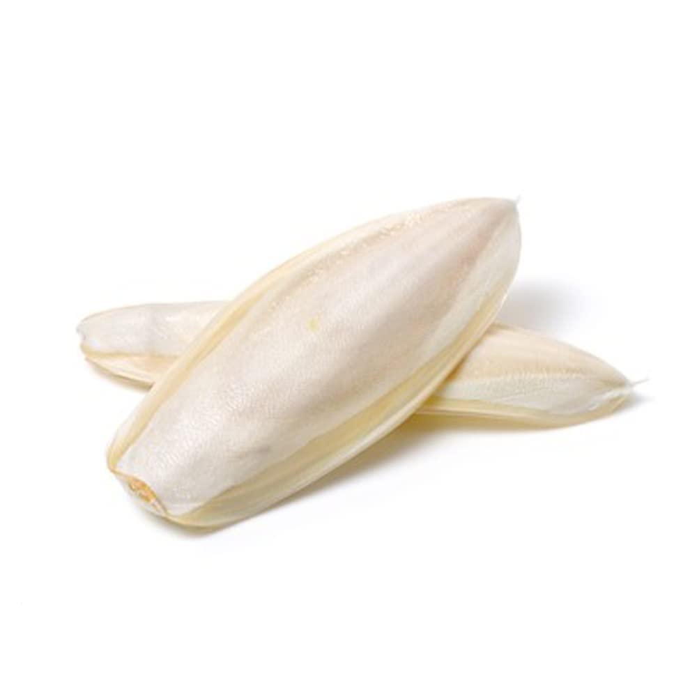Buy MSJ Cuttlefish Bone 100 g Stone White - (Pack of 02 Pcs) Online at ...