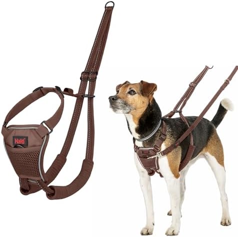 Amazon.com: Halti No Pull Harness - Stop Your Dog Pulling on the Leash ...