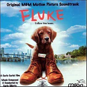 Fluke: Amazon.de: Musik-CDs & Vinyl