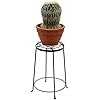 Amazon.com : Achla FB-32 Designs Argyle Plant Stand III, 18" H ...