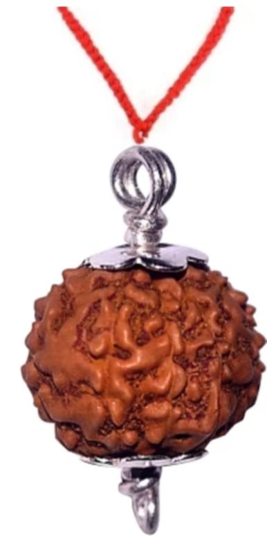 Lord Shiva Metals 11 Mukhi Original Indonesian Rudraksha Penadant with ...