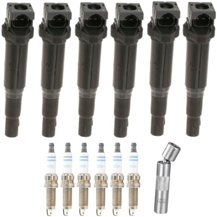 Amazon.com: 6 x ELDOR Ignition Coils + BOSCH Spark Plugs + Socket for ...