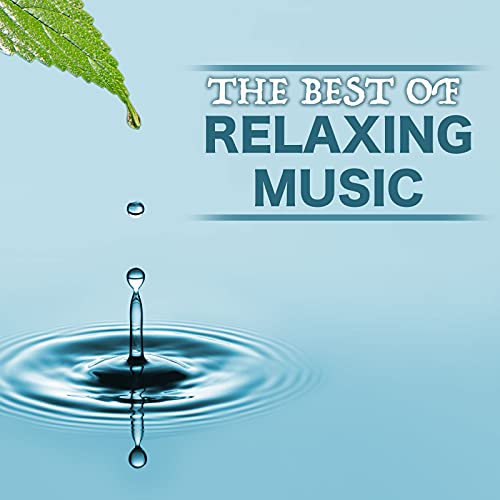 Play The Best of Relaxing Music - Sounds of Nature for Relaxation ...