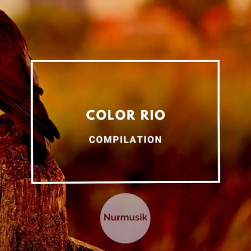 Amazon MusicでVARIOUS ARTISTSのColor Rioを再生する