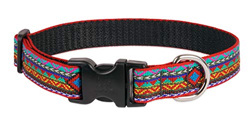 Lupine Dog Collars – The 15 best products compared - Wild Explained