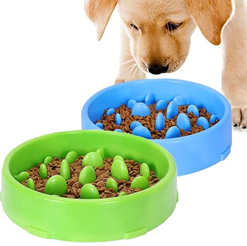 Langohrnapf für Hunde – Die 16 besten Produkte im Vergleich ...