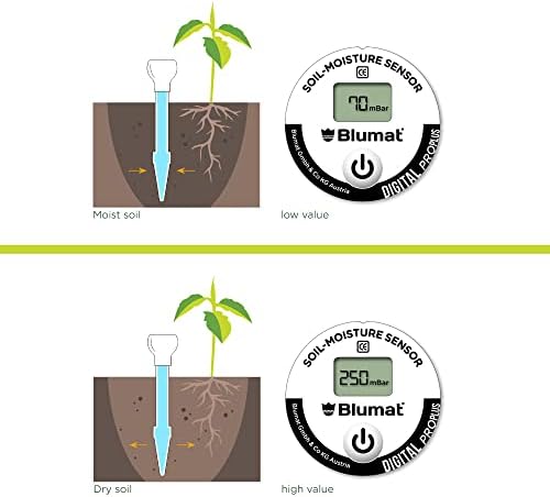 Blumat Digital soil humidity sensor : Amazon.co.uk: Garden