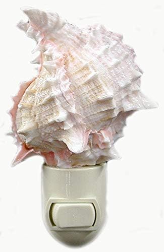 Tumbler Home Sea Shell Light - Pink Murex Seashell Night Light for ...