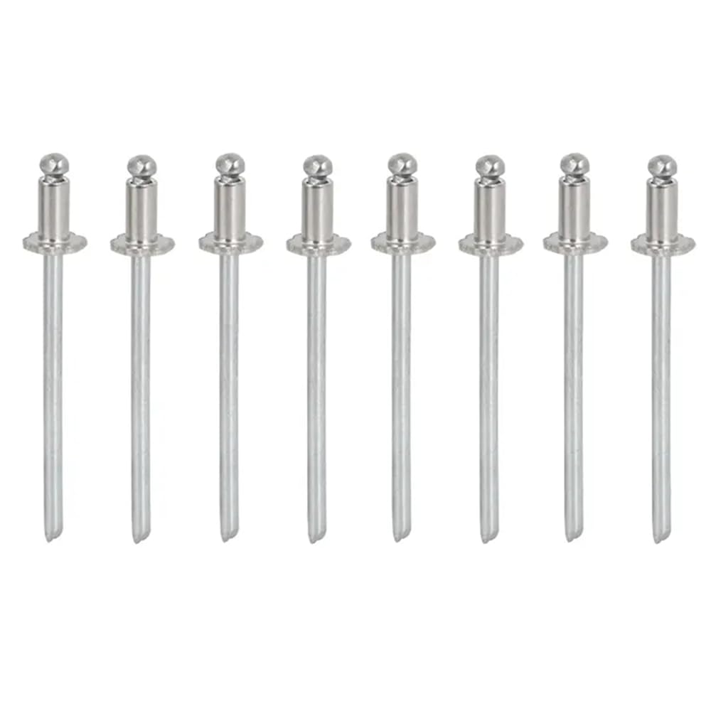 Amazon.com: 8pcs Silver Stainless Steel Rosette Rivets VIN Door Tags ...