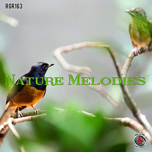 Play Nature Melodies by VARIOUS ARTISTS on Amazon Music