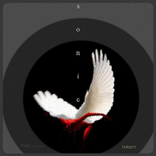 Play Sonic by Tarboy on Amazon Music