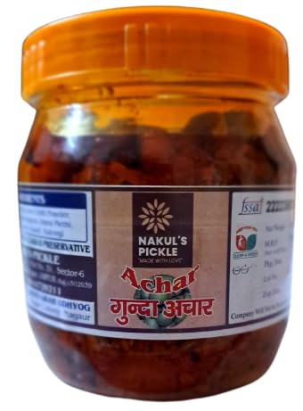 NAKUL'S PICKLE Homemade Rajasthani Spicy & Tangy Gunda Achar Jar of 500 ...
