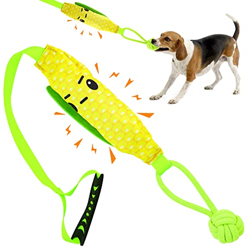 Amazon.com.au Best Sellers: The most popular items in Toy Ropes for Dogs