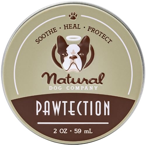 Paw Protection – The 15 best products compared - Wild Explained