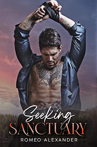 Amazon.com: Seeking Sanctuary (Men of Fairlake) eBook : Alexander ...
