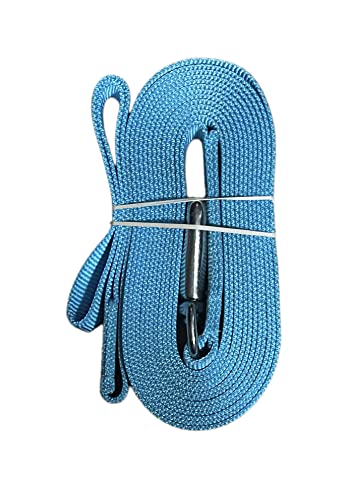 Amazon.com: 20 Ft Lunge Line Horse, Dogs Cattle Traing Leash (Light ...