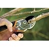 Amazon.com : Fiskars Anvil Pruner, 5/8-Inch Cut Capacity Branch Cutter ...