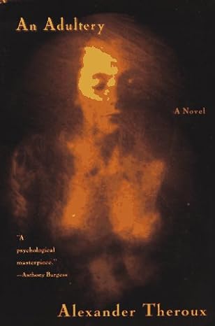 An Adultery: A Novel: Theroux, Alexander: 9780805044607: Amazon.com: Books