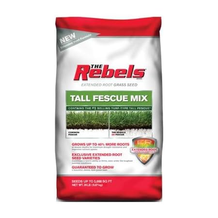 Amazon.com : Pennington 100081775 The Rebels Tall Fescue Shade Grass ...