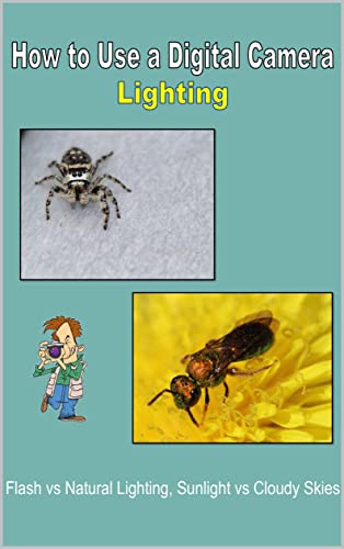 How to Use a Digital Camera - Lighting - Kindle edition by Mahoney, C ...