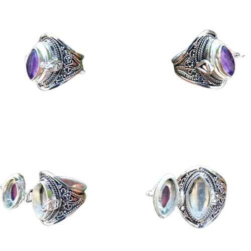Amazon.com: Natural Amethyst Ring, Poison Box Ring, Poisoner Ring ...