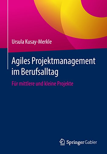 Agiles Projektmanagement im Berufsalltag: Für mittlere und kleine ...