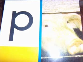 Amazon.com: Pm: Alphabet Starters Letter P (Rigby Pm): 9780763542436: Rigby: Books