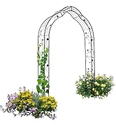 Amazon.com : kinbor Steel Arbor Arch Garden Arch Trellis Black Metal ...