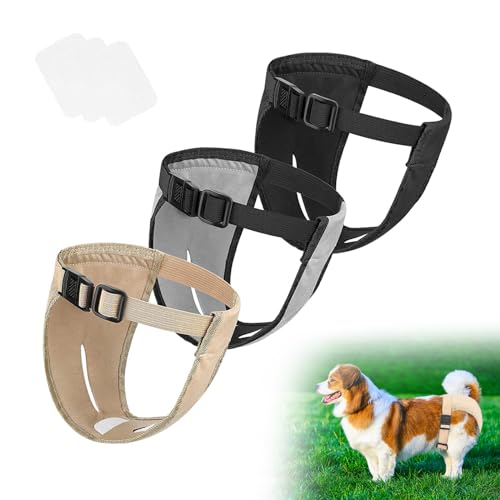 Mutandine Per Cani – I 15 migliori prodotti a confronto - Mondo-dei ...