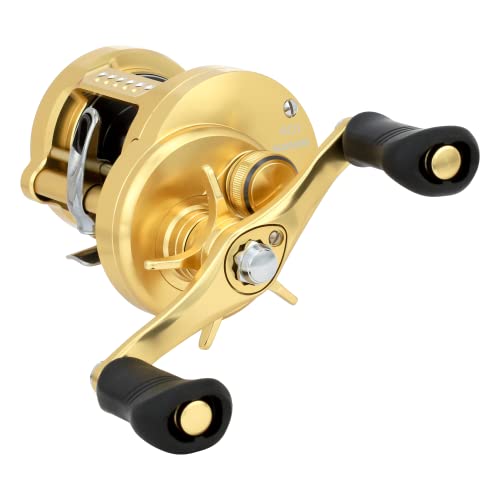 Best Surf Casting Reels of 2024 (Top 5 Reviewed)