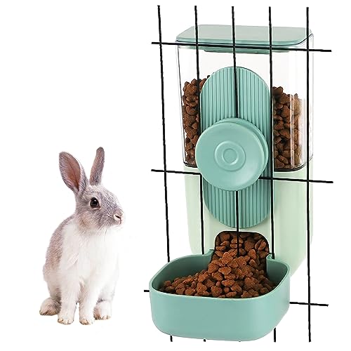 Top 10 Full Cheeks Chinchilla Cages: Your Ultimate Buying Guide ...