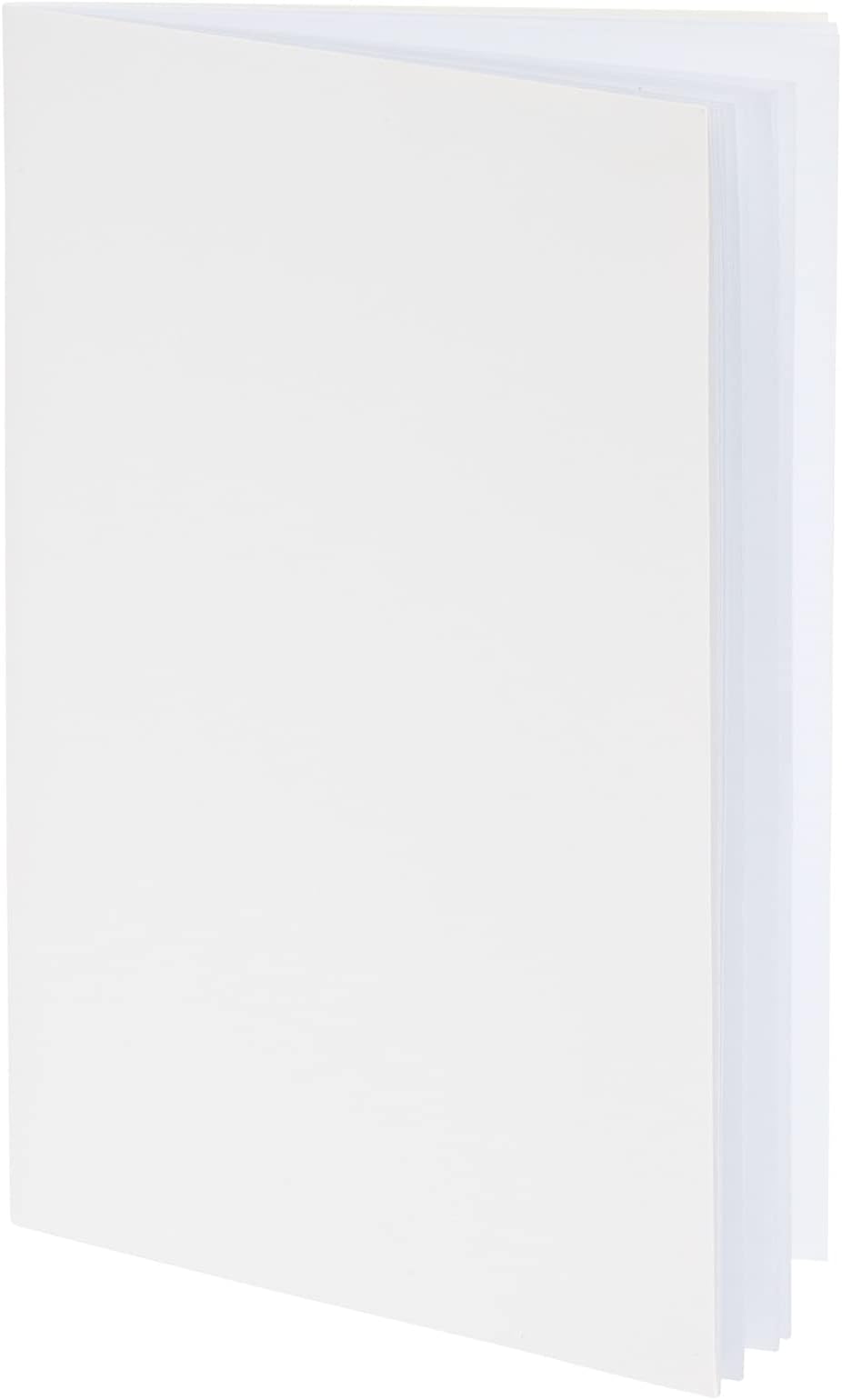 Amazon.com : Paper Junkie 48 Pack Blank Inside Kraft Paper Material ...