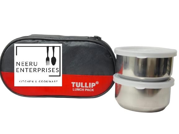 Buy Executive Lunch Box, Tiffin Box, Office Lunch Box, (2 Stainless ...