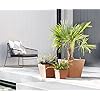 Amazon.com : Ecopots Rotterdam Durable Modern Square Indoor/Outdoor ...