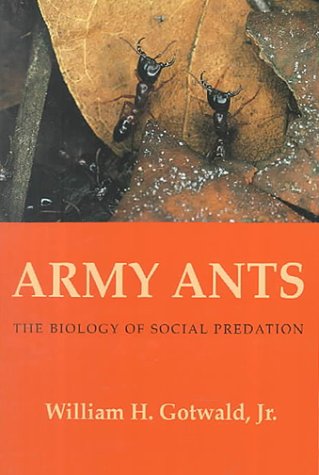 Amazon | Army Ants: The Biology of Social Predation (Cornell Series in ...