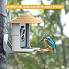 Amazon.com : FOUKWAKC Smart Bird Feeder with Camera, AI Identify Bird ...