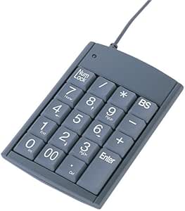 Amazon.com: Sanwa Supply NT-2P PS/2 Numeric Keypad : Electronics