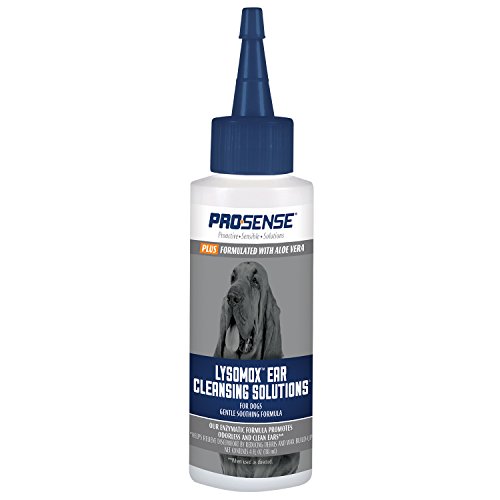 ProSense 60 Count Ps Plus Stinky Toot Solutions in Pakistan | WellShop.pk