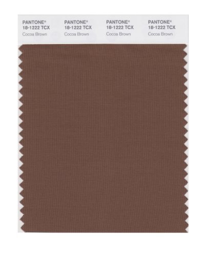 PANTONE SMART 18-1222X Color Swatch Card,Cocoa Brown : Amazon.in: Home ...